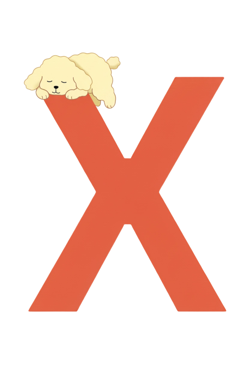 X OBERON - Portfolio